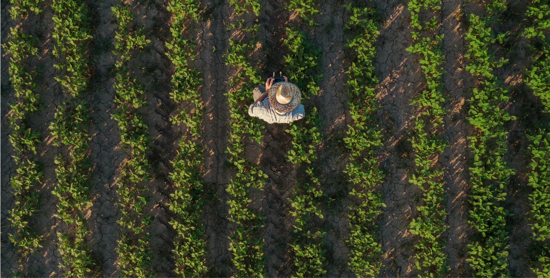 About Us - Synthite Group