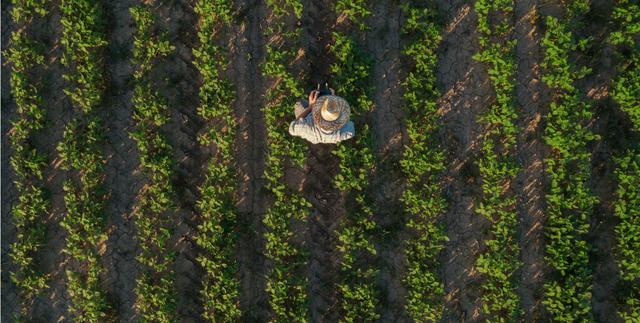 About Us - Synthite Group