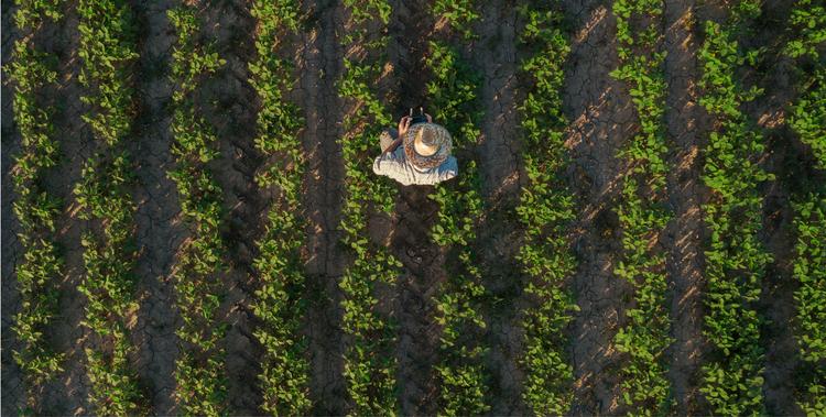 About Us - Synthite Group